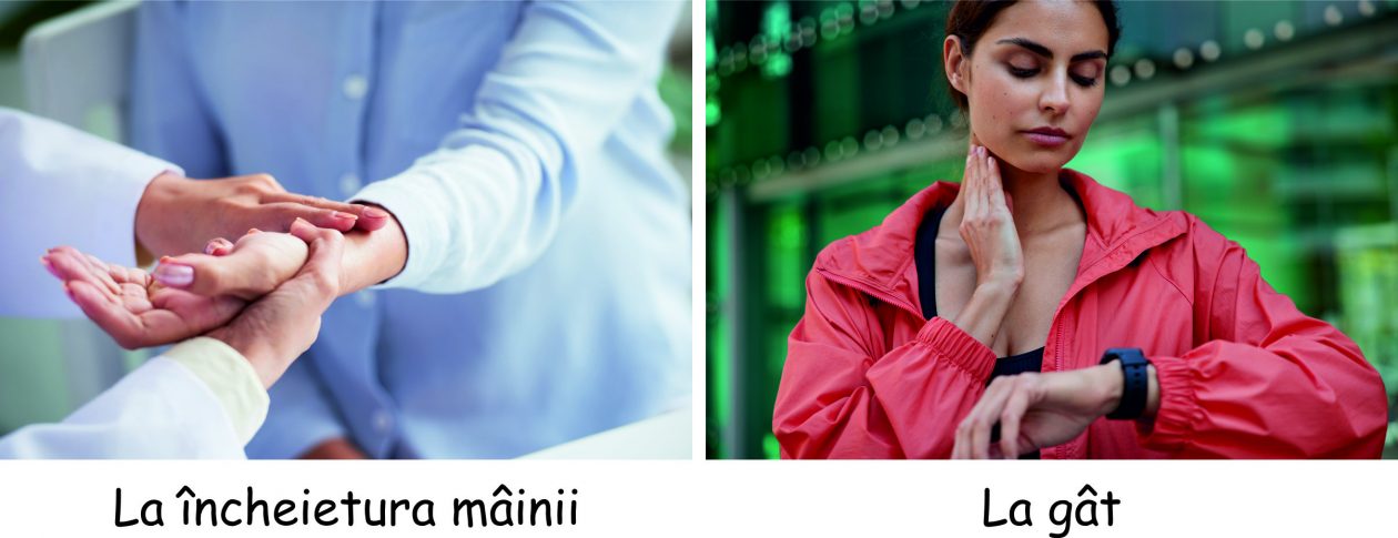 Bataile inimii si ritmul cardiac | Am o frecventa cardiaca normala?